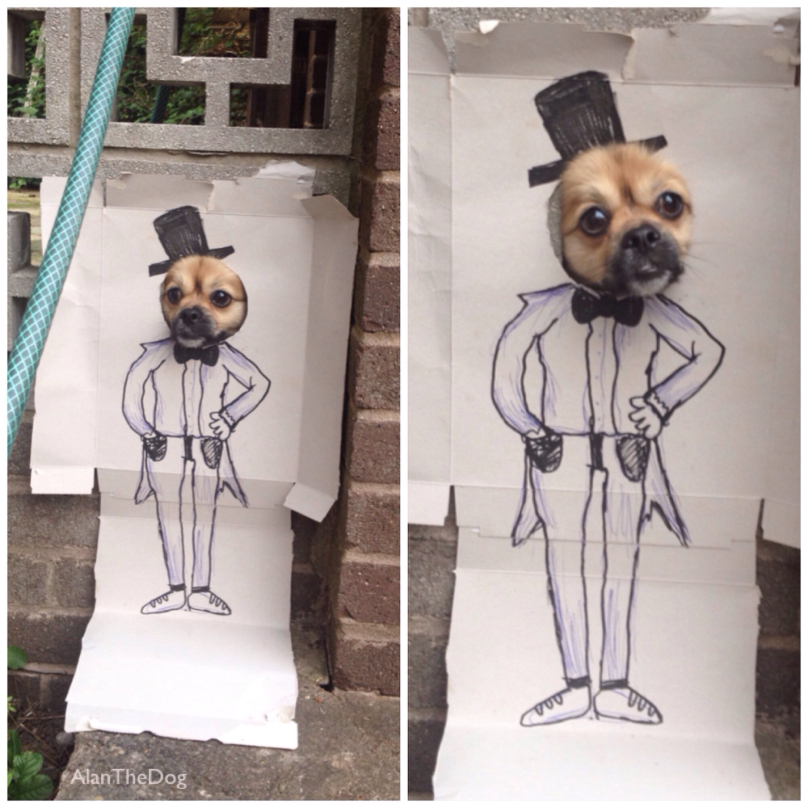 25 fotos de perros que te harán reír